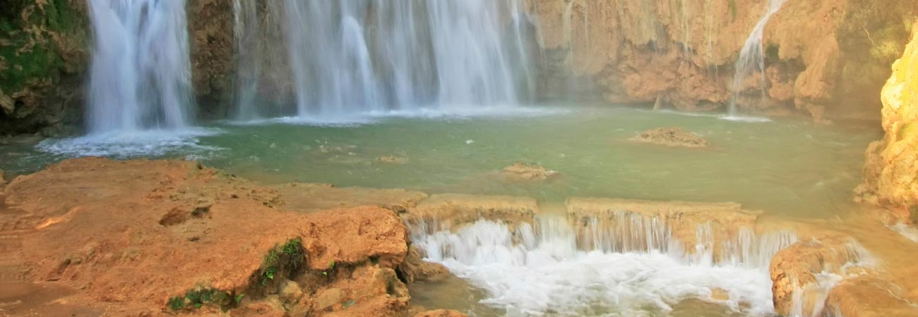 Ideal Itinerary: Samana, Dominican Republic | TravelAge West