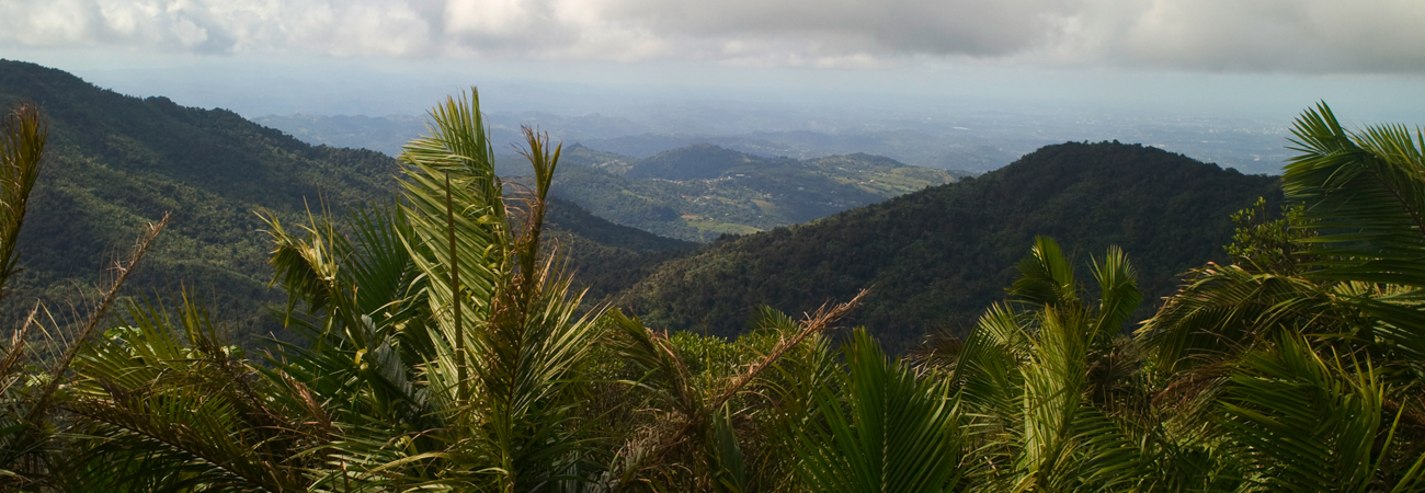 Touring El Yunque National Forest | TravelAge West
