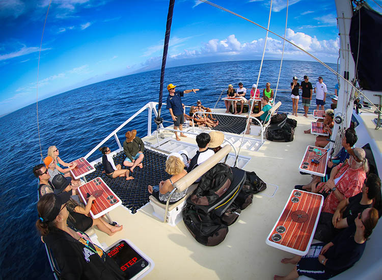 Snorkel and Sail on Maui With Trilogy Excursions : TravelAge West